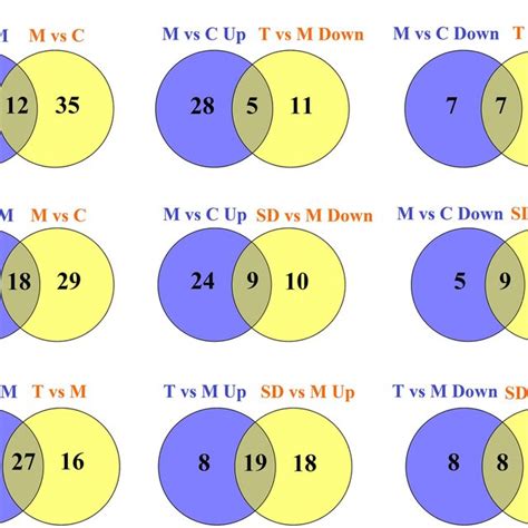 Comparisons Of The Number And Overlapping Relationships Of