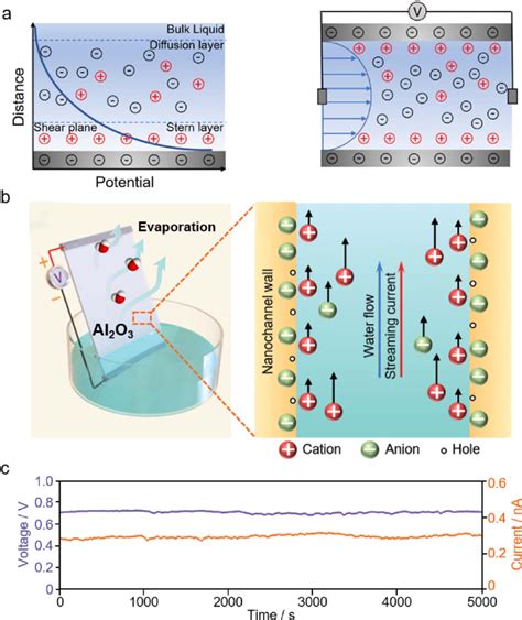 A Schematic Illustration Of The Electric Double Layer Edl Formed At