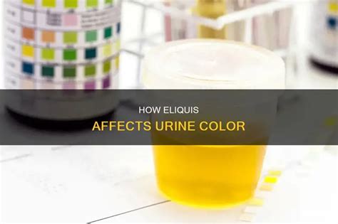 How Eliquis Affects Urine Color Medshun