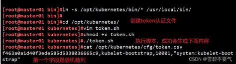 【k8s】多节点master部署k8s集群详解、步骤带图、配置文件带注释（上） 阿里云开发者社区