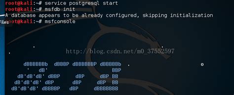 Kali 2016 Metasploit启动启动metasploit 使用的对应数据库服务 Csdn博客