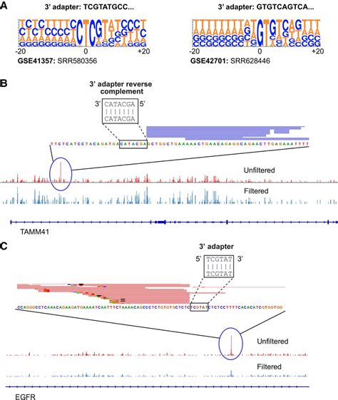 identification and removal of sequencing artifacts produced by