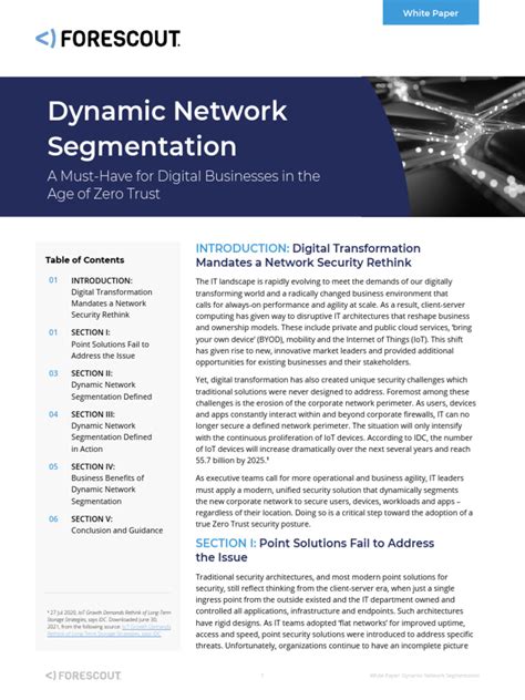 Dynamic Network Segmentation In The Age Of Zero Trust Pdf