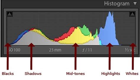 The Creative Light Understanding Exposure Through Histograms