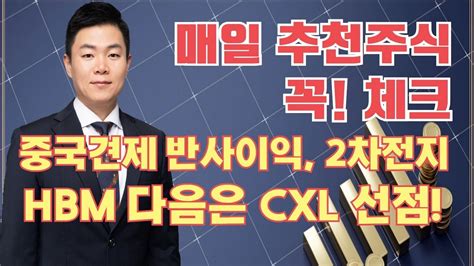 내일 추천주 확인 포스코퓨처엠 포스코홀딩스 에코프로 에코프로비엠 2차전지 바닥찍었다 Cxl관련주 선점하기 Sk