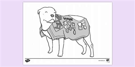Sergeant Stubby Colouring Sheet Colouring Sheets Twinkl