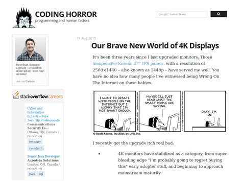 codinghorror themes and skins