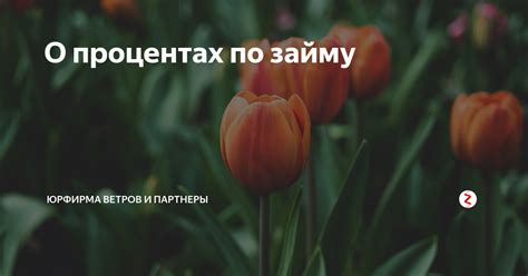 О процентах по займу Юрфирма Ветров и партнеры Дзен