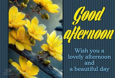 Beautiful Afternoon Pictures