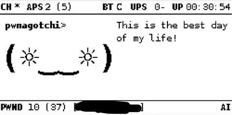 Got My Pwnagotchi Finally Working R Pwnagotchi