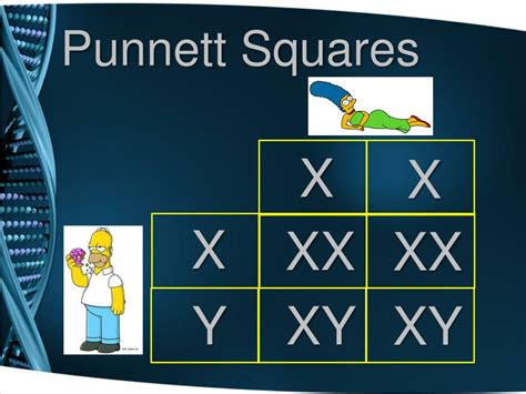 Ppt Genetics Powerpoint Presentation Free Download Id1447494