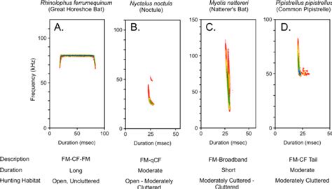 Representative Bat Spectrogram Call Forms With Their Standard