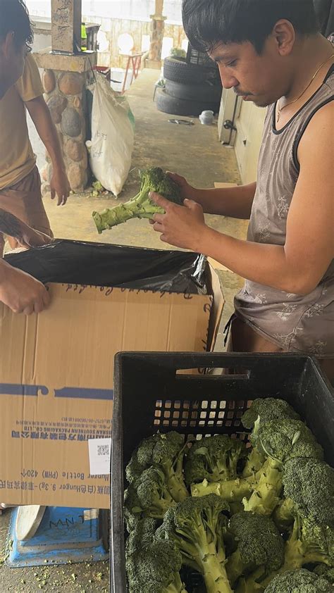 Da Hvcdp Undersecretary Visits Baptc High Value Crops Development