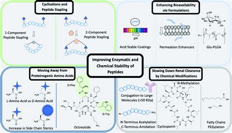 多肽偶联药物研发服务平台 多肽新剂型制剂研发 多肽仿制药物研发 美迪西生物医药