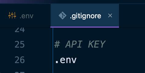 api 키 환경변수로 숨기기 env