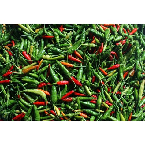 Harga Cabe Rawit 1kg Terbaru Sep 2025 Biggo Indonesia