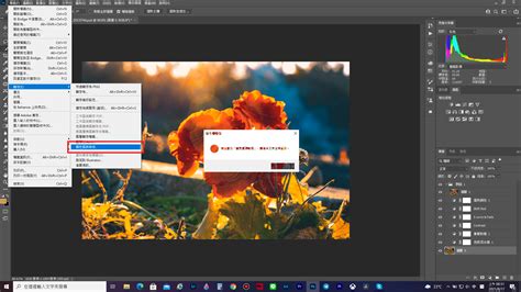Cannot Export Lookup Table Adobe Support Community 12326140