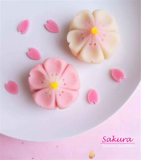Sakura in Many Ways | Sakura Junction