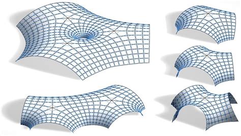 29 Several S Cmc Trinoids Left Combining Three And Two Trinoids Download Scientific