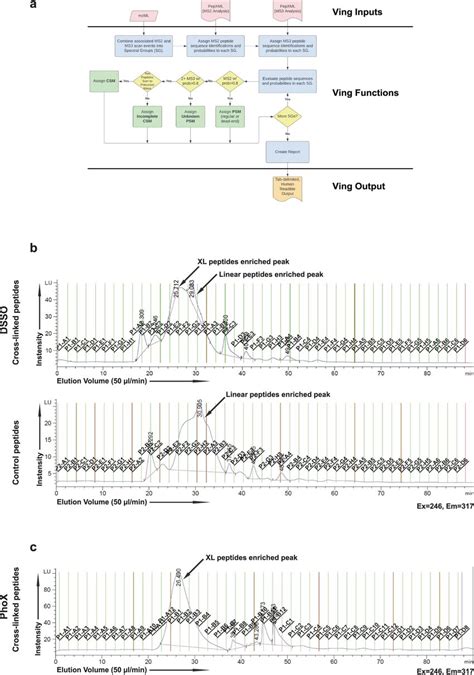 Ving And Xl Ms Sec A Schematic Workflow Describing The Working Download Scientific Diagram