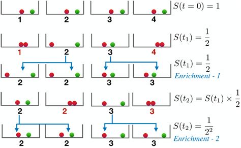 Color Online Illustration Of The Cloning Algorithm To Compute The