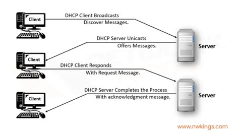 What Is Dora Process In Dhcp Best Explained 2025