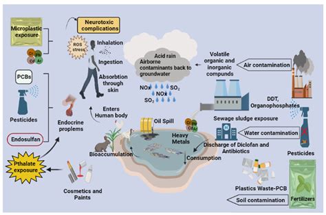 Molecules Free Full Text Mixed Contaminants Occurrence Interactions Toxicity Detection
