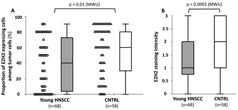 Ijms Free Full Text Ezh2 Expression In Head And Neck Squamous Cell