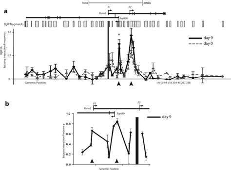 The Bone Specific Runx2 P1 Promoter Displays Conserved Three