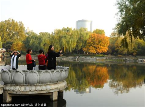 北京香山初冬秋色迷人别样美