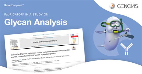 Genovis Blog Fabricator® In Correlative N Glycan Analysis Of