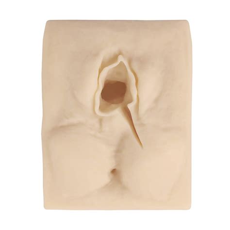 Buy Female Vulva Incision Perineal Suture Practice Model Left Cut