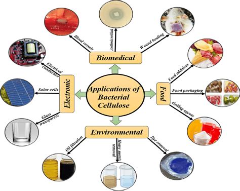 General Applications Of Bacterial Cellulose In Diverse Fields Download Scientific Diagram