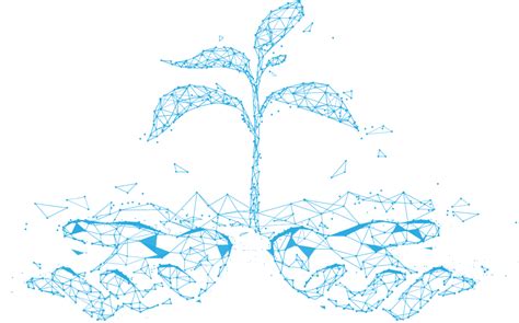 Home Saasberry Innovation Laboratories