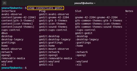 The Snap Command In Linux With Examples LinuxSimply
