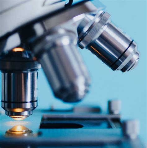 Labo Danalyses Médicales Drzidani Batna