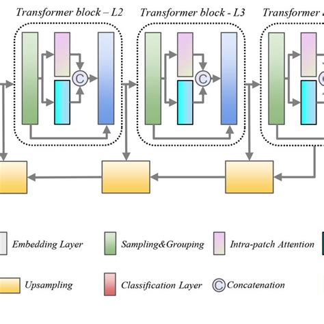 Separable Transformers Classification And Segmentation Network
