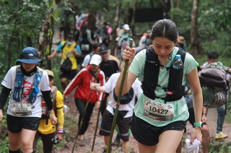 ข่าว Like สาระ ภูกระดึงคึกคัก รองผู้ว่าฯเลยลั่นฆ้องเปิดภูรับ นทท จัดกิจกรรมพักแรมบนยอดภู