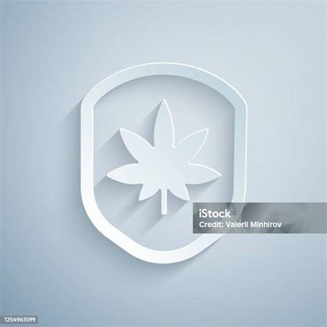 종이 잘라 방패와 마리화나 또는 회색 배경에 고립 대마초 잎 아이콘 마리화나 합법화 대마 기호 종이 아트 스타일 벡터 일러스트레이션 3차원 형태에 대한 스톡 벡터 아트 및