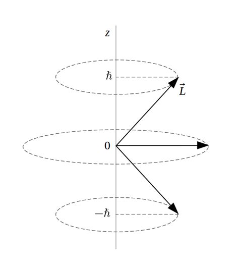 For An Electron In An Atom That Has An Orbital Quantum Numbe Quizlet