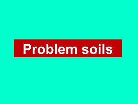 Problem Soils And Soil Acidity P K MANI PPT