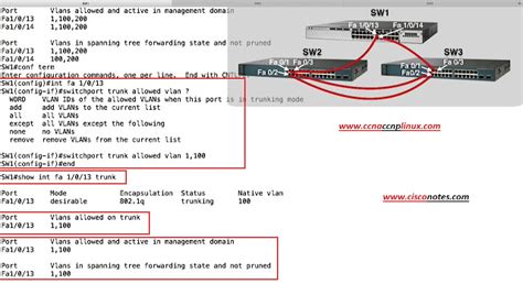 Trunking And Pruning Configuration Best Cisco Ccna Ccnp And Linuxcentos Pdf Notes