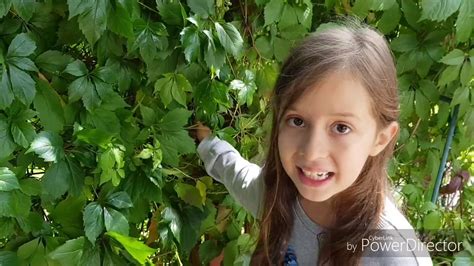 Буктрейлер по книге Фрэнсис Бернетт Таинственный сад Youtube