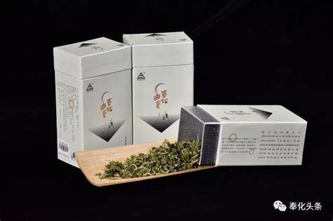 产自北纬30500多米的海拔上这样的奉化曲毫你不来一杯吗 搜狐大视野 搜狐新闻
