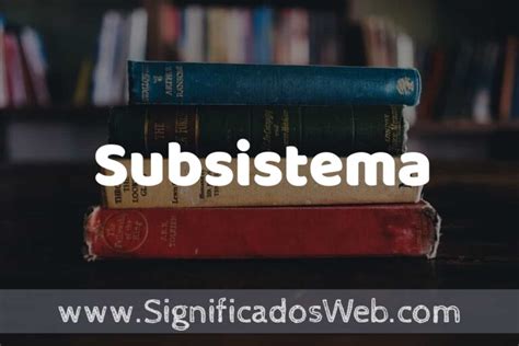 Concepto De Subsistema ️¿que Es Definición Y Significado