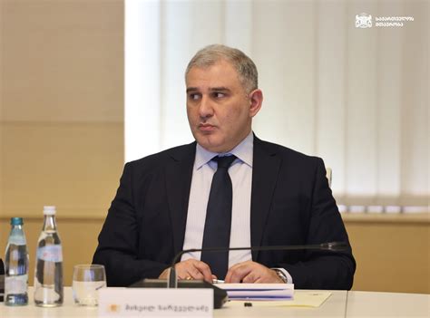 საქართველოს მთავრობა პრემიერ მინისტრის ხელმძღვანელობით მოქმედი უმაღლესი განათლების რეფორმის