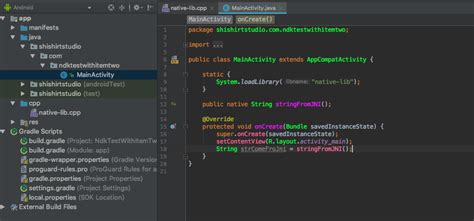 Securing Api Keys In Android App Using Ndk Native Development Kit