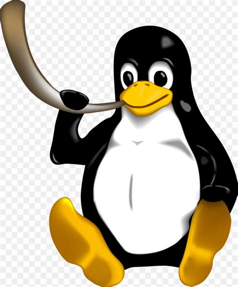 Penguin Tux Linux Ubuntu Avahi PNG X Px Penguin Basiclinux Beak Bird Computer