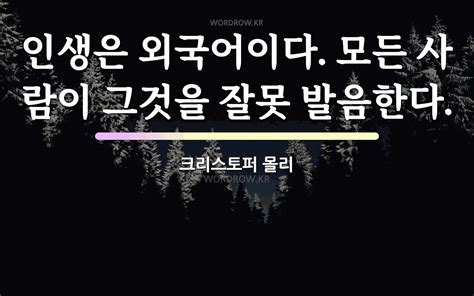 인간사엔 기회라는 것이 있는 법 기회를 잘 타면 성공에 도달하지만 놓치면 인생 항로는 여울에 박혀 불행하기 마련이오 윌리엄 셰익스피어의 명언