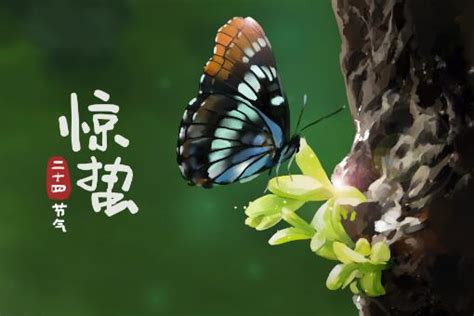 惊蜇图片 20年惊蜇图片 大暑图片 大山谷图库